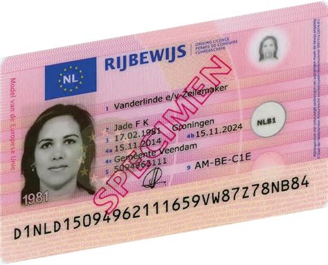 Rijbewijs Verloren of Verlengen? 😱 Alles over Geldigheid in Nederland ...